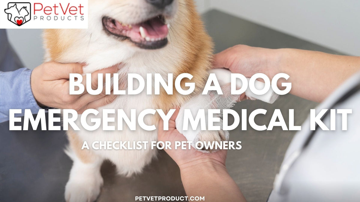 Building a Dog Emergency Medical Kit: A Checklist for Pet Owners – Pet ...