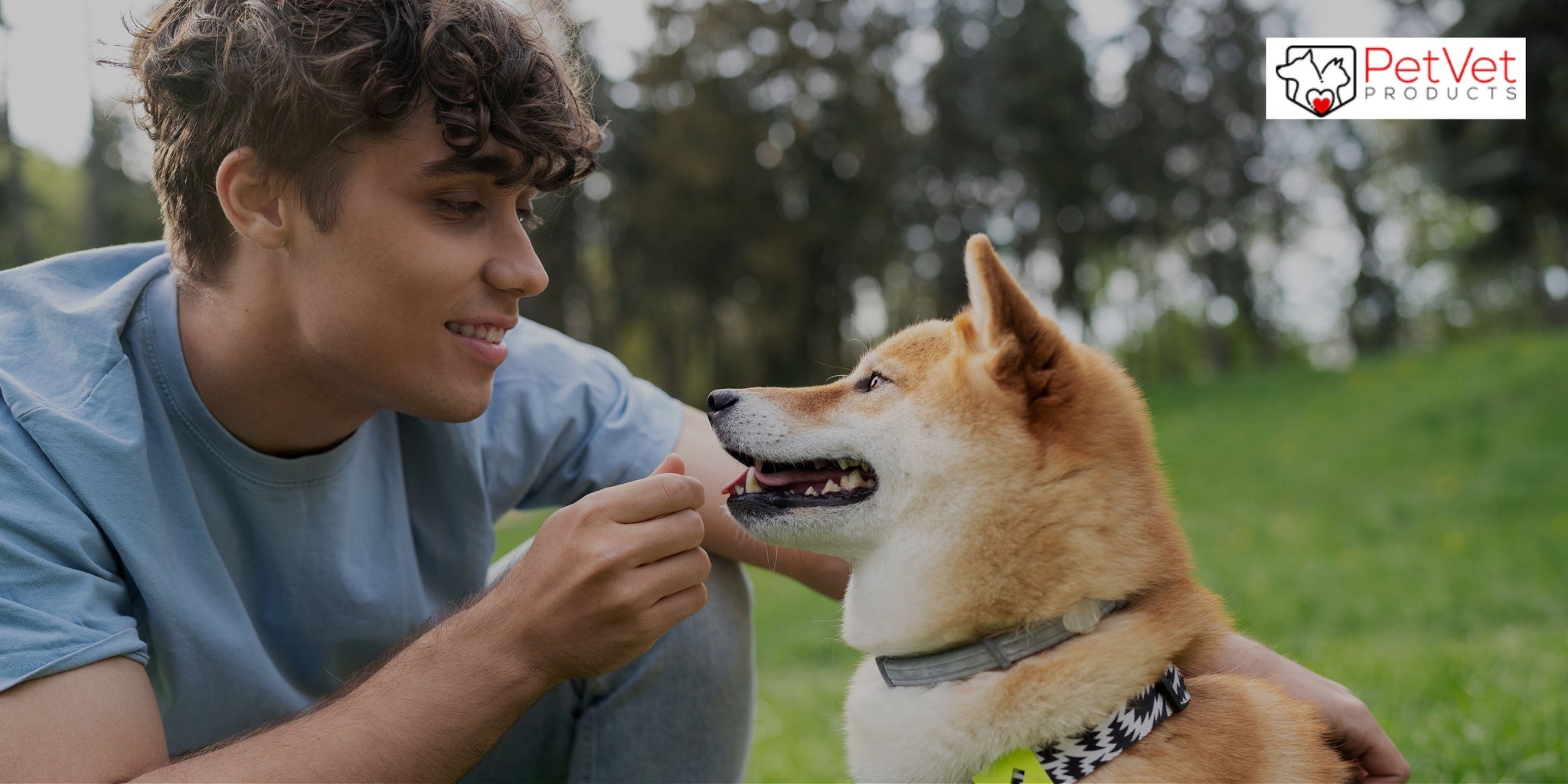 Choking in Pets: Signs, Prevention, and What to Do in an Emergency ...