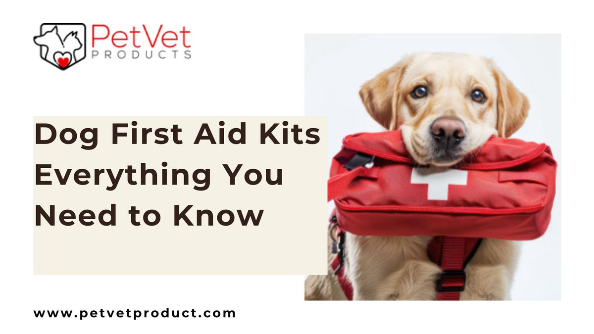 Dog First Aid Kits: Everything You Need to Know – Pet Vet Products