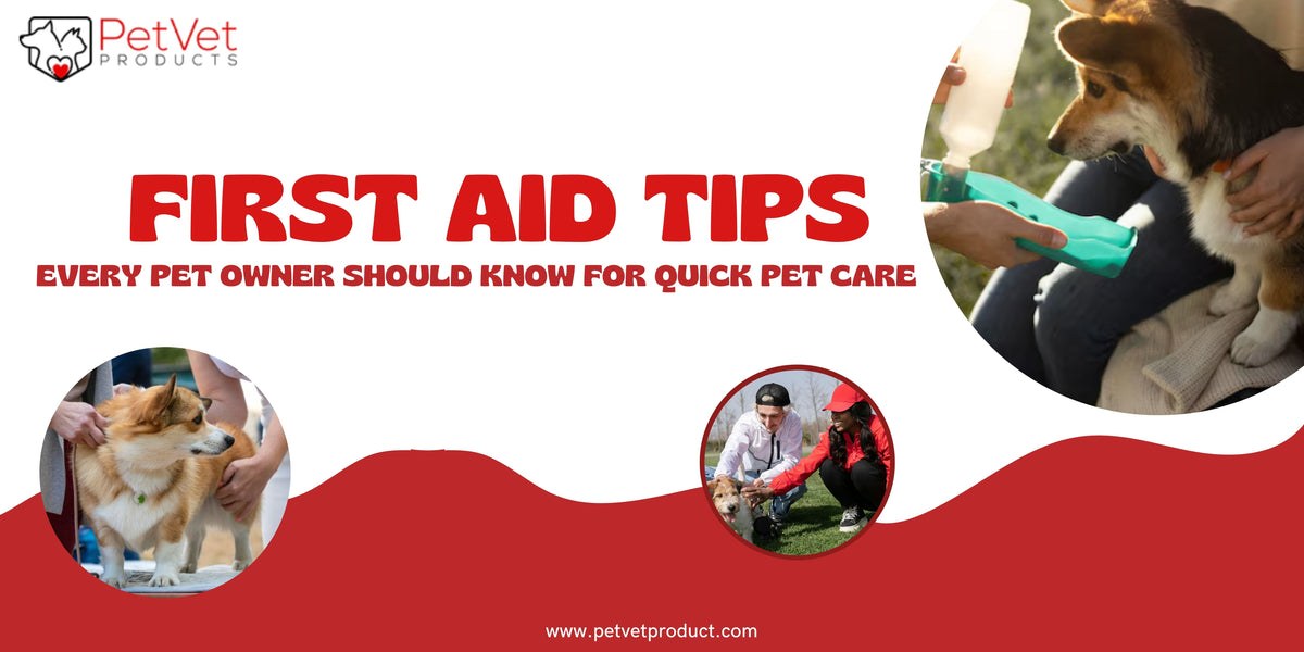 First Aid Tips Every Pet Owner Should Know for Quick Pet Care – Pet Vet ...