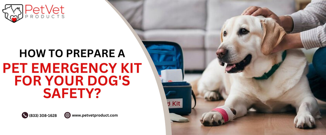 How to Prepare a Pet Emergency Kit for Your Dog's Safety? – Pet Vet ...