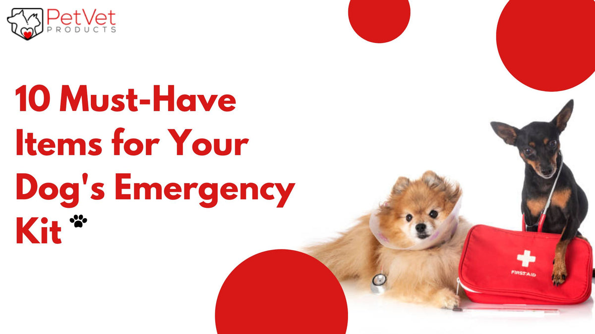 10 Must-Have Items for Your Dog's Emergency Kit – Pet Vet Products