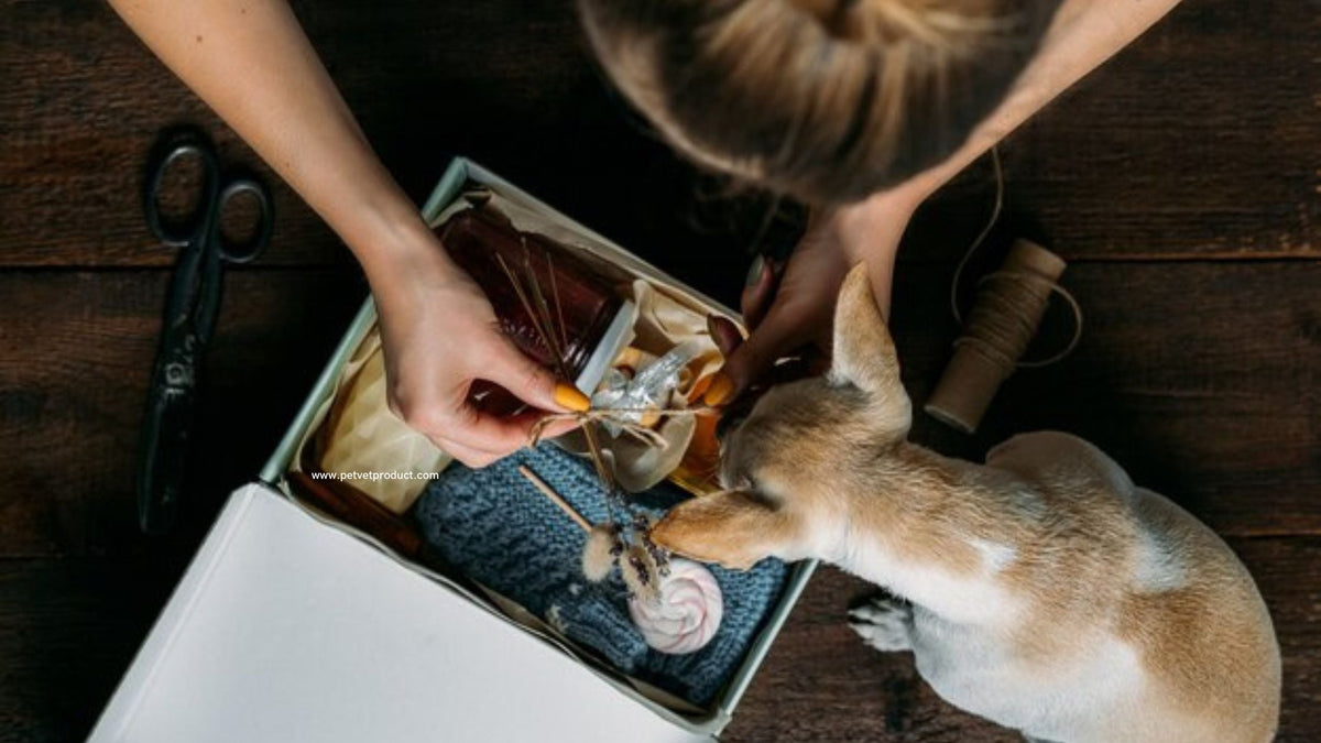 DIY Dog First Aid Kit: What You Need for Home and Travel – Pet Vet Products