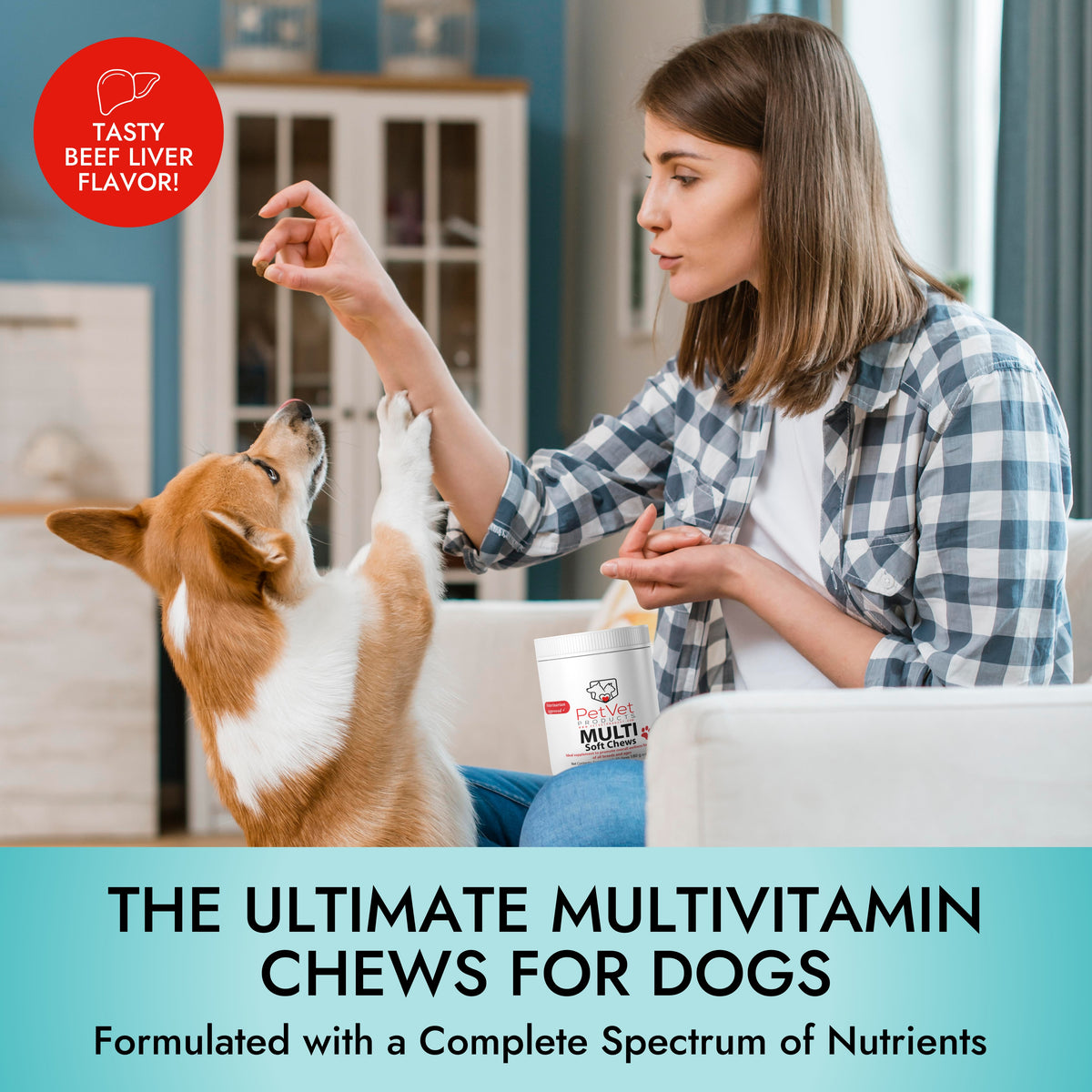 Multivitamin Soft Chews for Pets | Dog & Cat Health Support – Pet Vet ...
